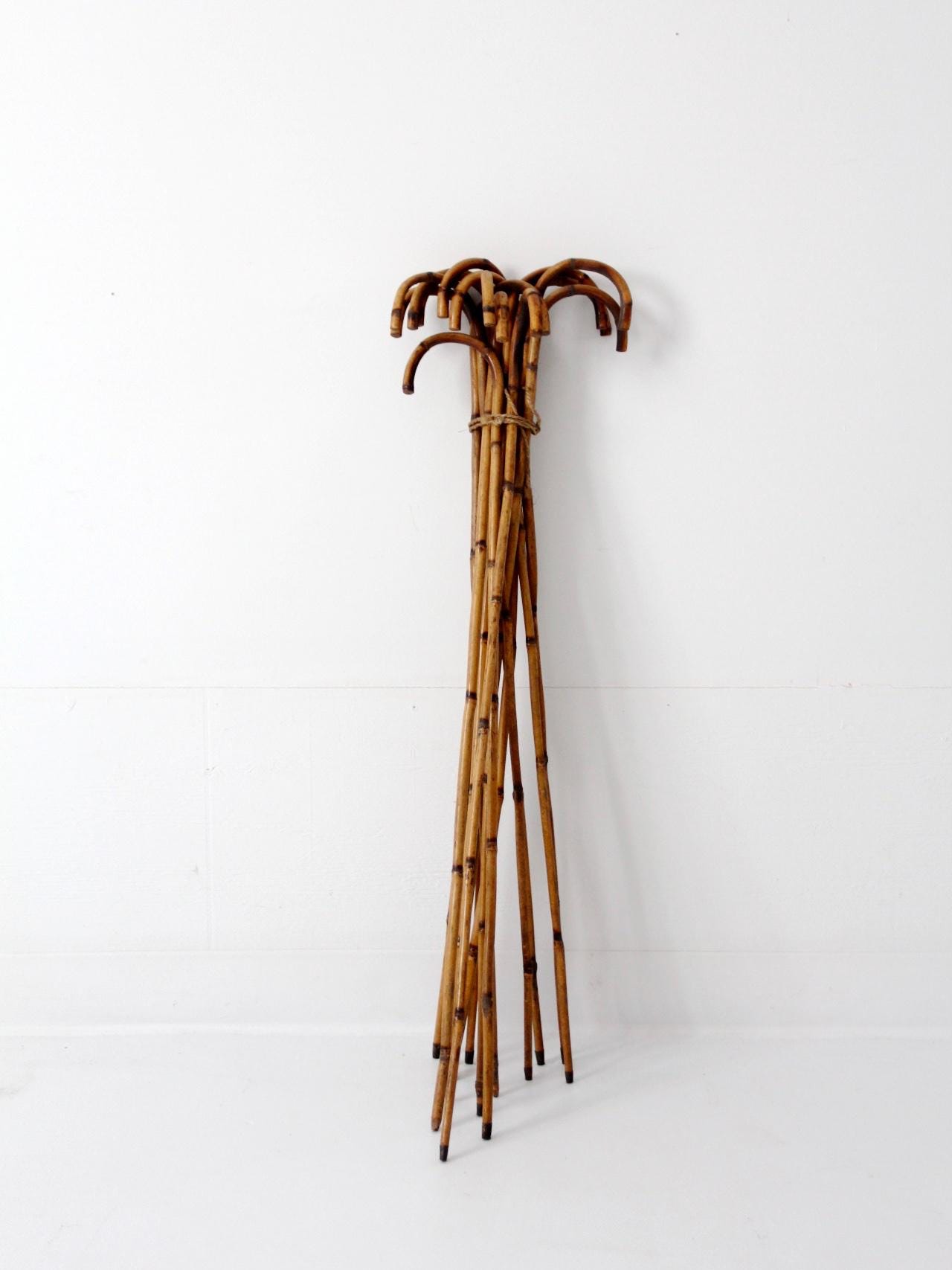 1920s Bamboo Cane Collection - Etsy