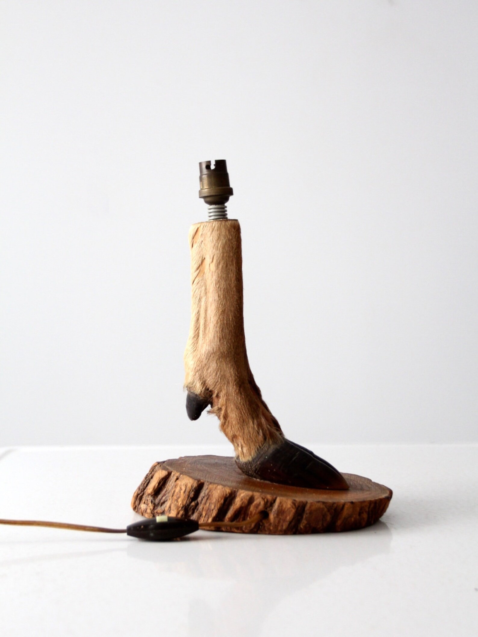 Vintage Hoof Lamp, European Mounted Deer Hoof Table Lamp - Etsy