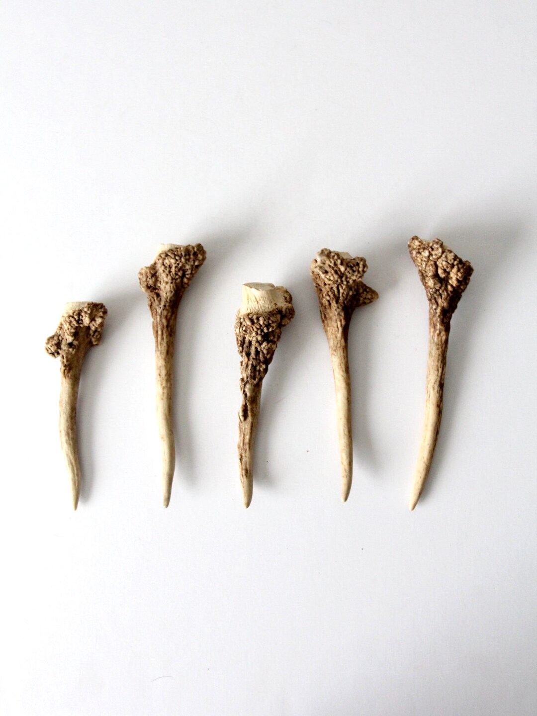 Vintage Deer Antler Points Collection - Etsy