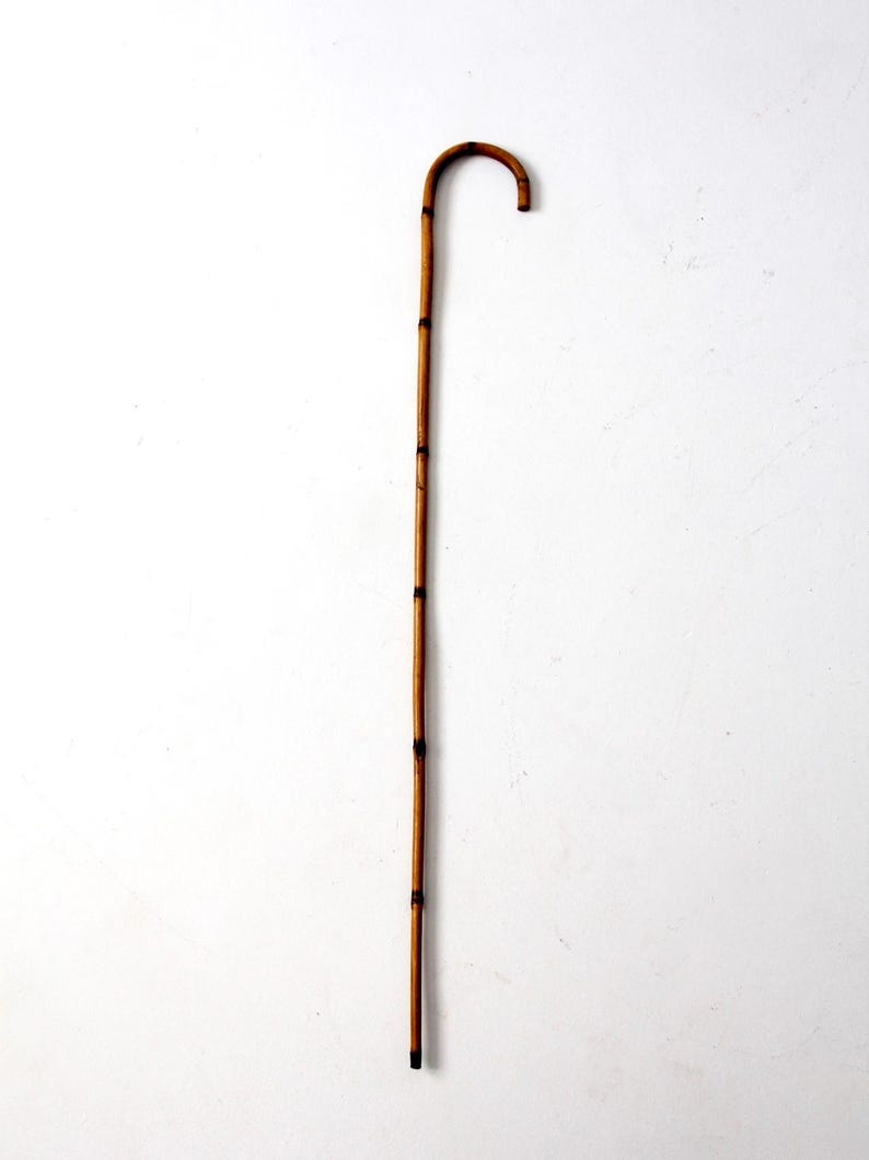 1920s Bamboo Cane Collection - Etsy