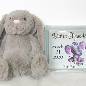 Personalized Baby Glass Block Savings Piggy Bank, New Baby Girl Gift ...