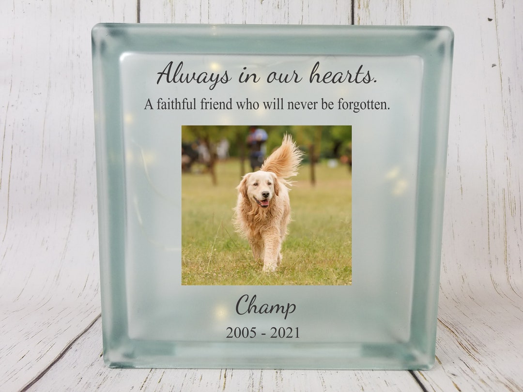 Pet or Dog Memorial Gift, Lighted Glass Block Memory Gift, in Memory of ...