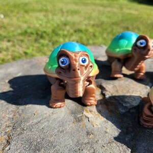 3D Printed Tortoise Fidget Sensory Desk Toy, Gift for Reptile Lover ...