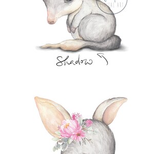 Bilby Clipart Watercolor, Australian Animals, Australian Wildlife ...