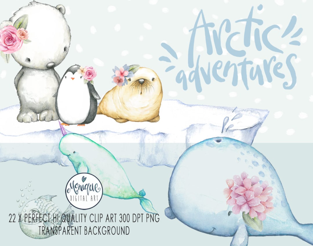 Arctic Animals Clipart,watercolor Whale,walrus, Seal, Narwhal,polar ...