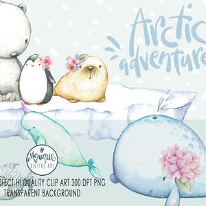 Arctic Animals Clipart,watercolor Whale,walrus, Seal, Narwhal,polar ...