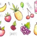 Fruit Clipart, Watercolor Fruit, School Teacher Clipart, Apple, Pear ...