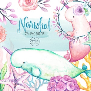 Narwhal Clipart, Watercolor Narwhal, Cute Narwhal, Hand Painted, Under the Sea, Planner Stickers ...