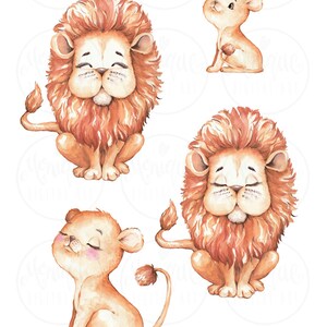 Cute Lions Clipart Watercolor, Jungle Animals Clipart, Monique Digital ...