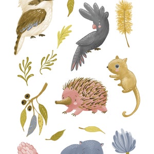 Australian Animals Clipart, Cockatoo, Kookaburra, Wombat, Echidna ...