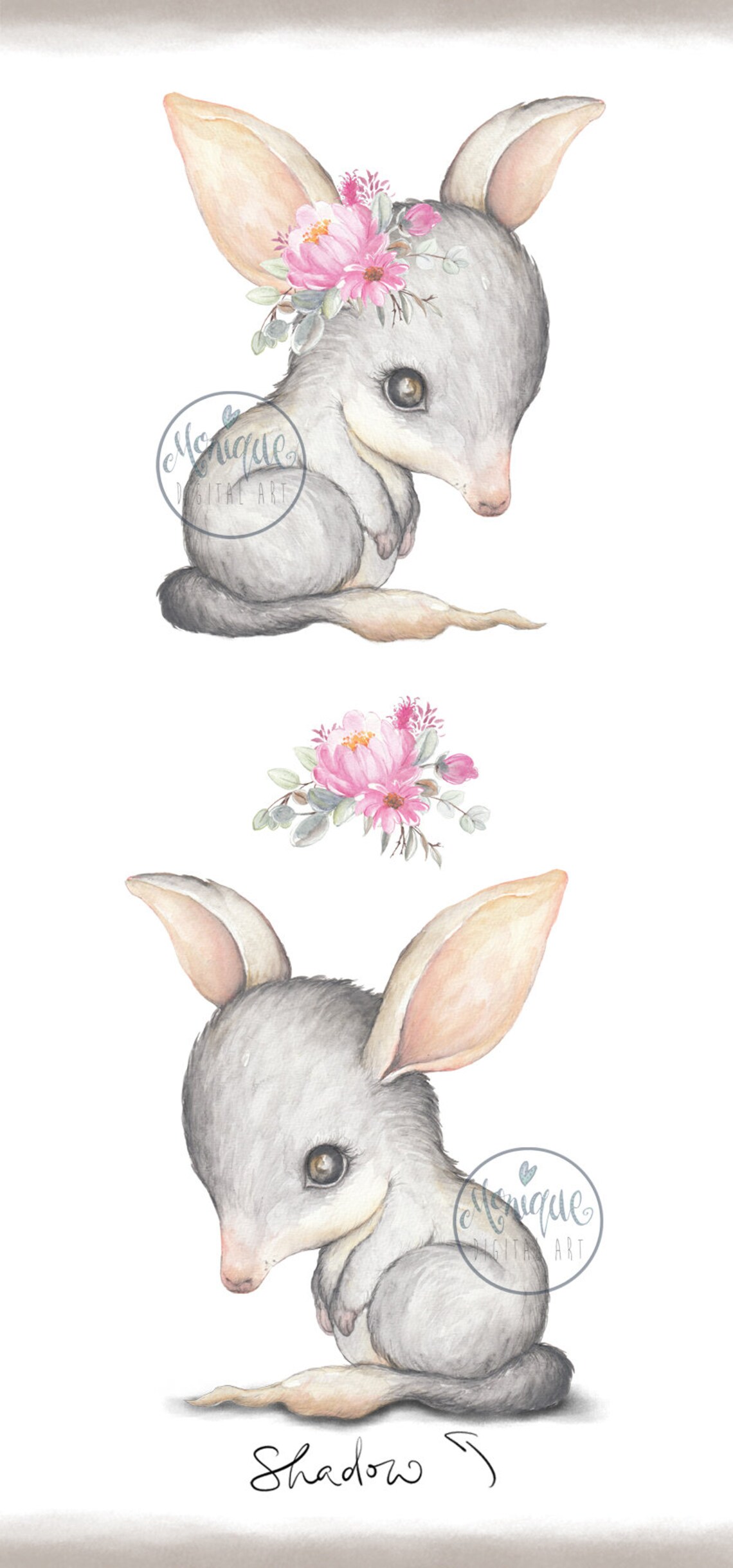 Bilby Clipart Watercolor, Australian Animals, Australian Wildlife ...