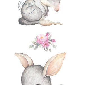 Bilby Clipart Watercolor, Australian Animals, Australian Wildlife ...
