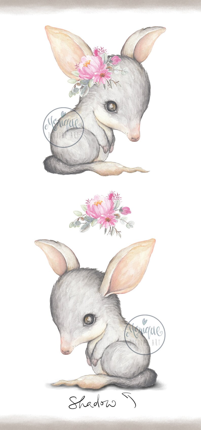 Bilby Clipart Watercolor, Australian Animals, Australian Wildlife ...