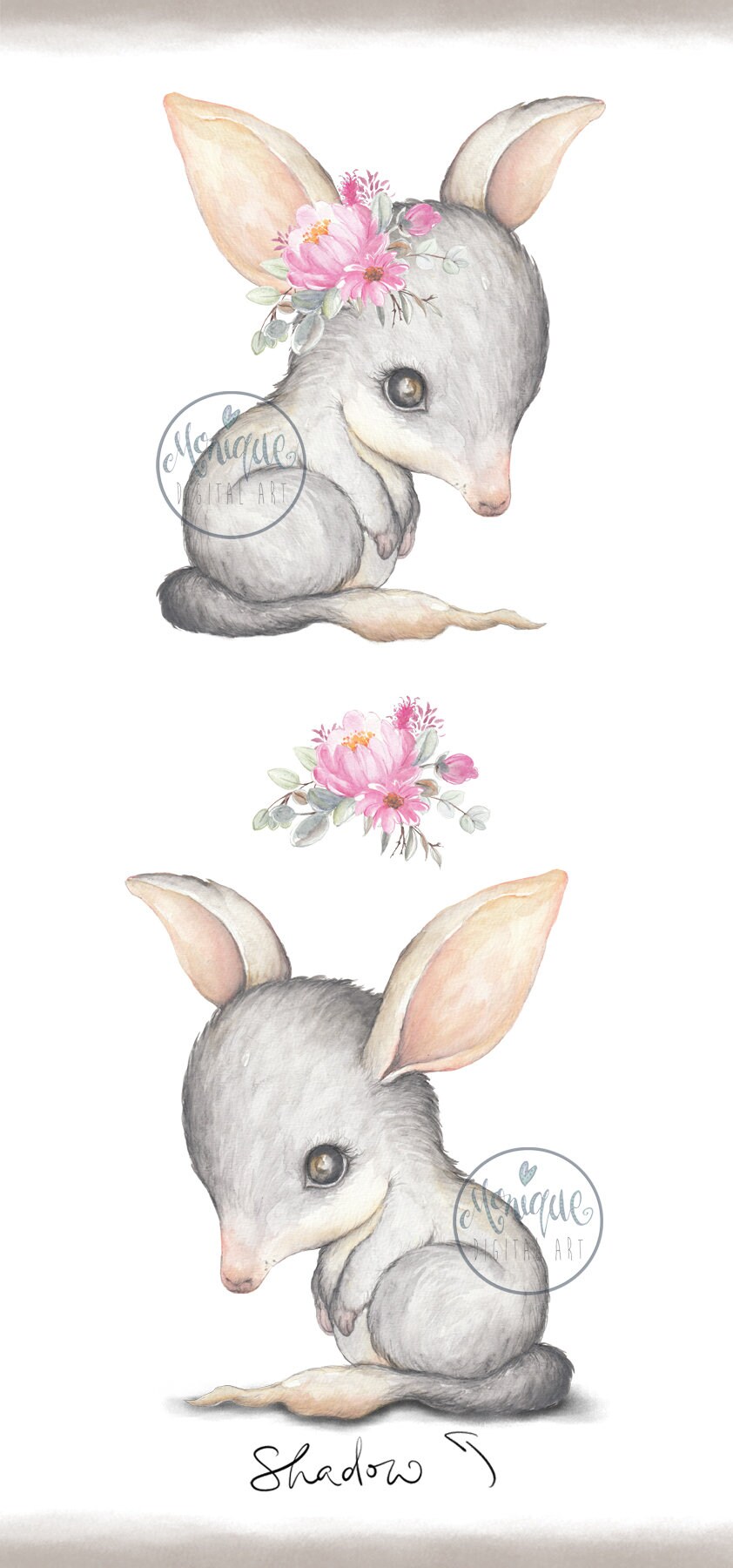 Bilby Clipart Watercolor Australian Animals Australian - Etsy Australia