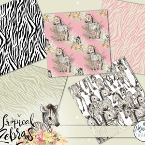 Zebra Paper Pack, Zebra Pattern, Safari Pattern, Seamless Pattern, Hand ...