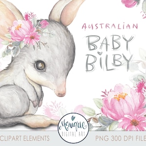 Bilby Clipart Watercolor, Australian Animals, Australian Wildlife ...