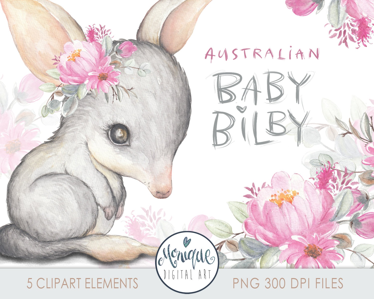 Bilby Clipart Watercolor, Australian Animals, Australian Wildlife ...