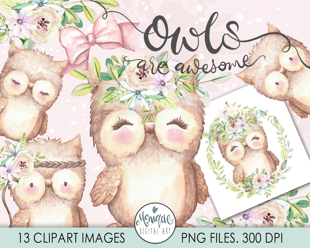 Cute Owl Clipart, Woodland Owl, Owls Watercolor, Owl Flower Crown ...