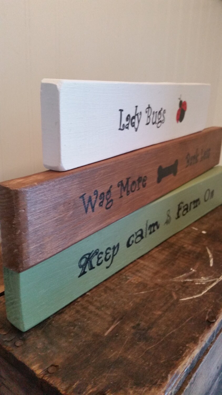 Lady Bug Sign Dog Lovers Art Farmers Decor Handpainted | Etsy