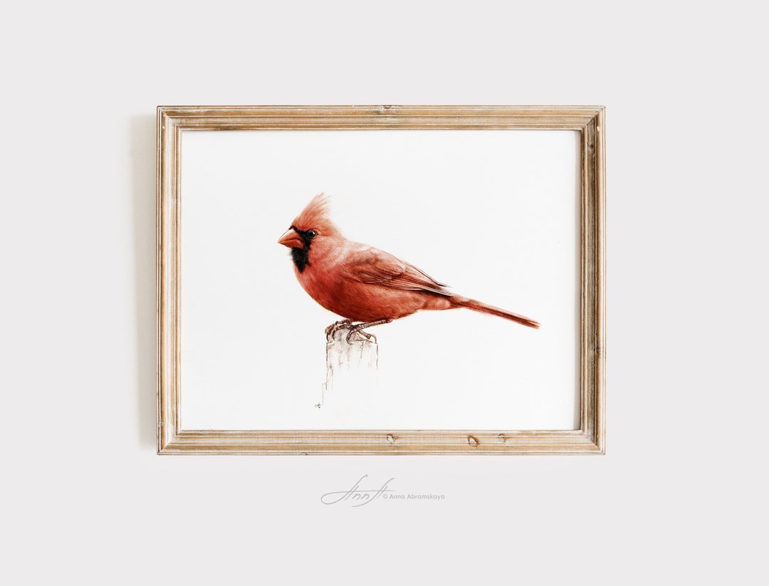 Northern Cardinal - Colored Pencil Drawing Print - Bird Art - Hand ...