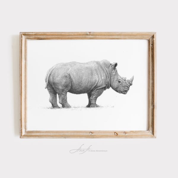 Rhino Pencil Drawing - Etsy