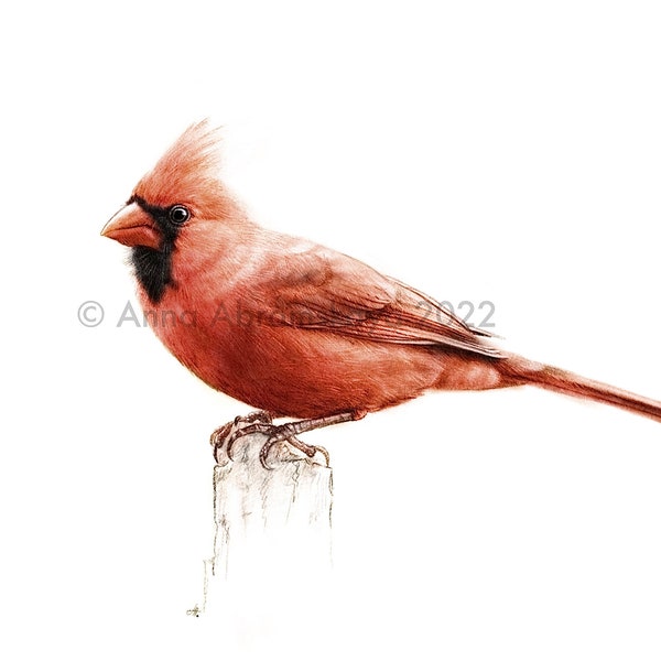 Bird Print Art - Etsy