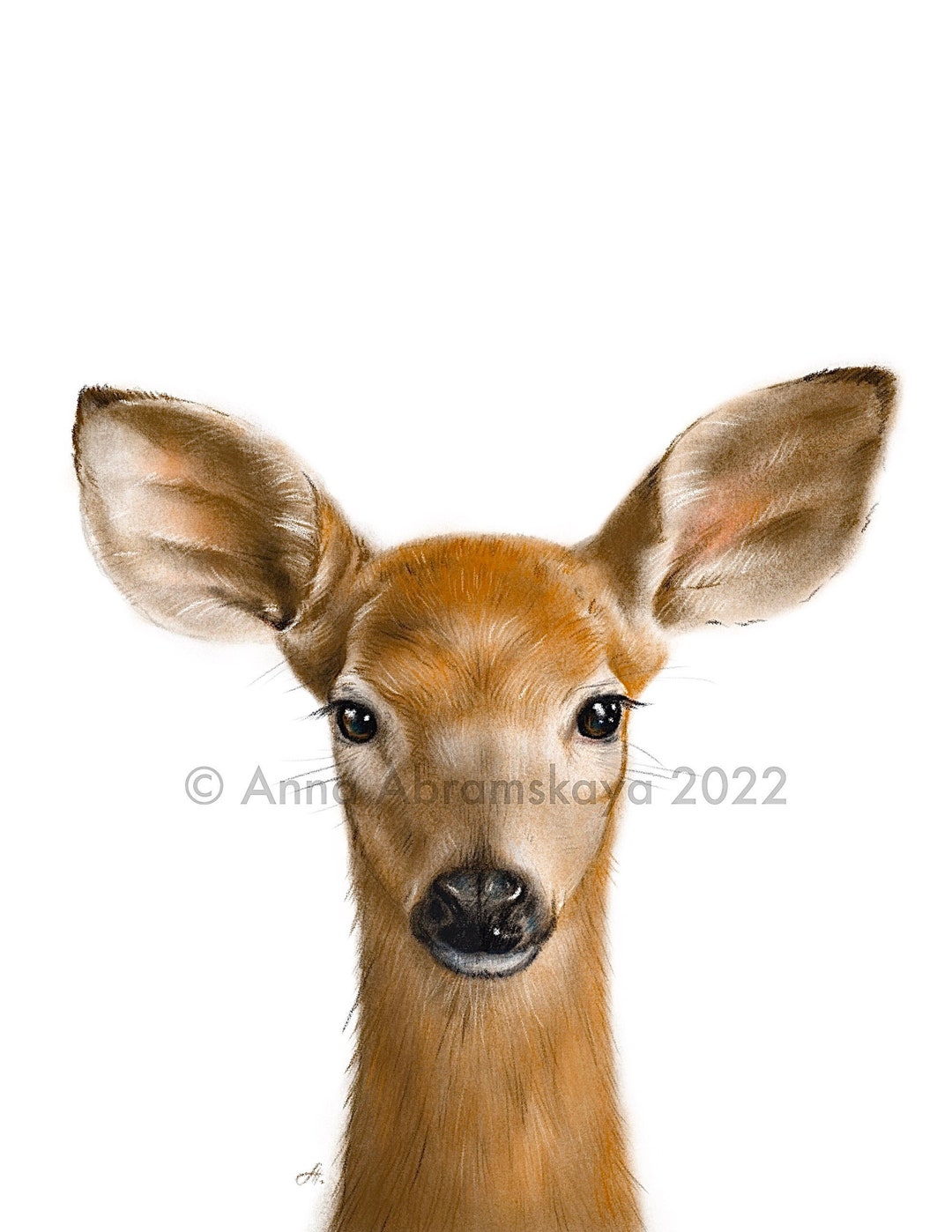 Deer Colored Pencil Drawing Print Animal Art Hand Drawn - Etsy
