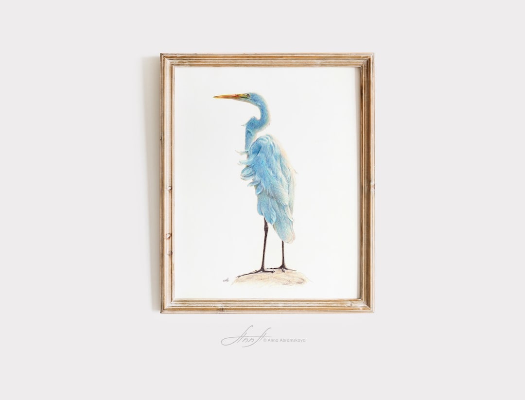 Heron Art Print – Realistic Blue Bird Giclée Illustration – Minimalist ...
