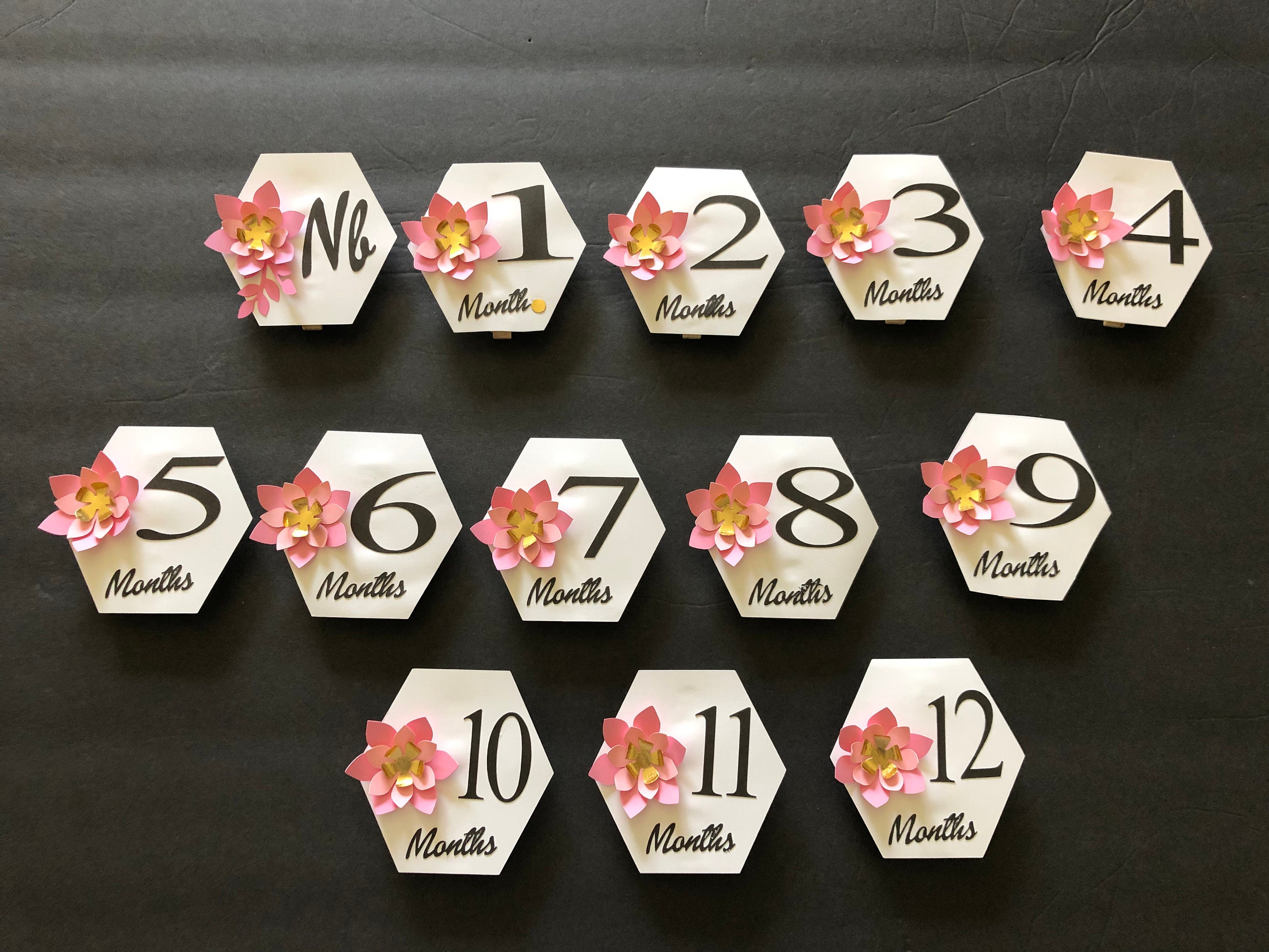 12months Milestone Birthday Banner Cherry Blossom Theme Monthly Banner ...
