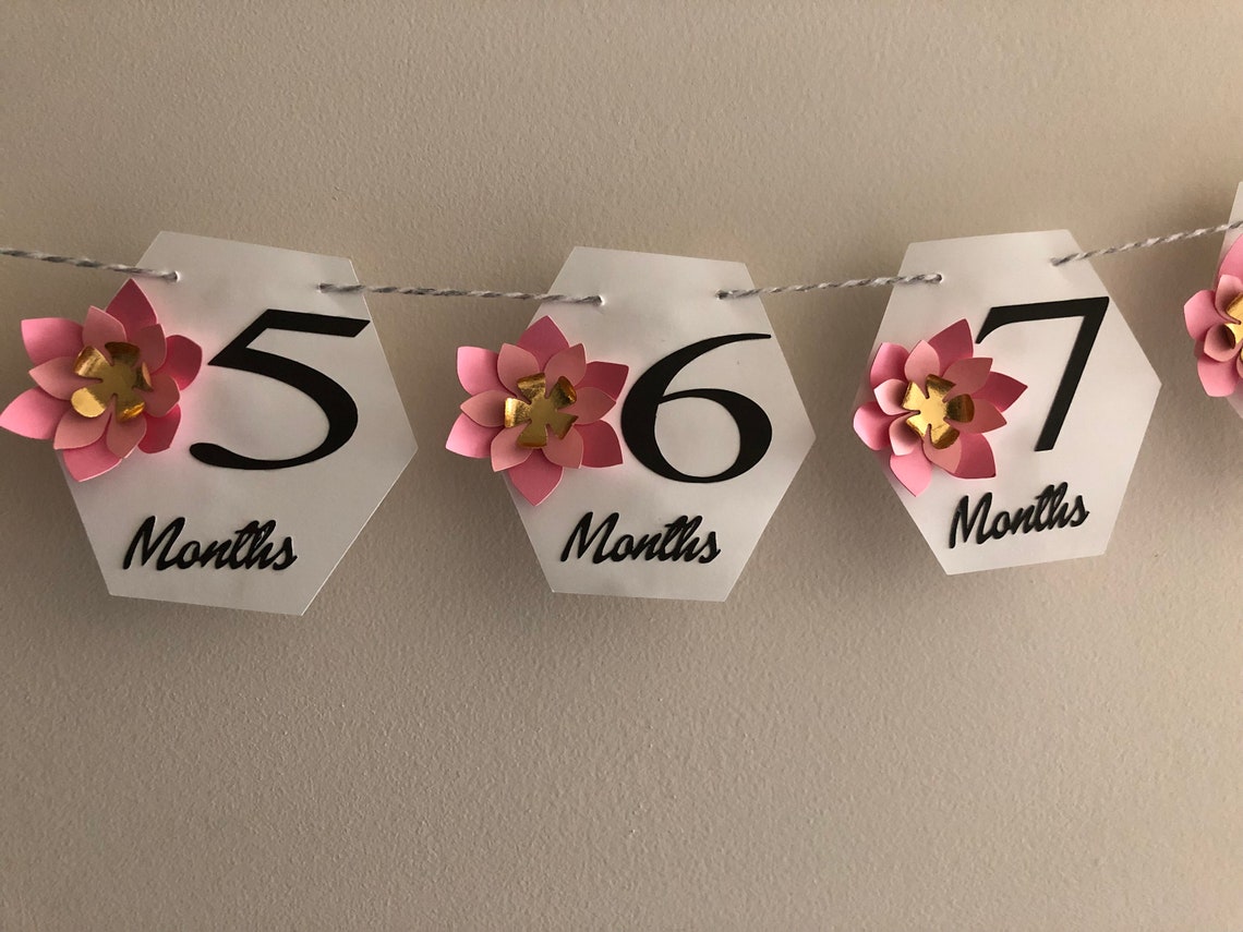 12months Milestone Birthday Banner Cherry Blossom Theme Monthly Banner ...