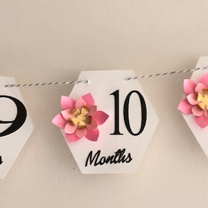 12months Milestone Birthday Banner Cherry Blossom Theme Monthly Banner ...