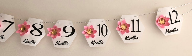 12months Milestone Birthday Banner Cherry Blossom Theme Monthly Banner ...