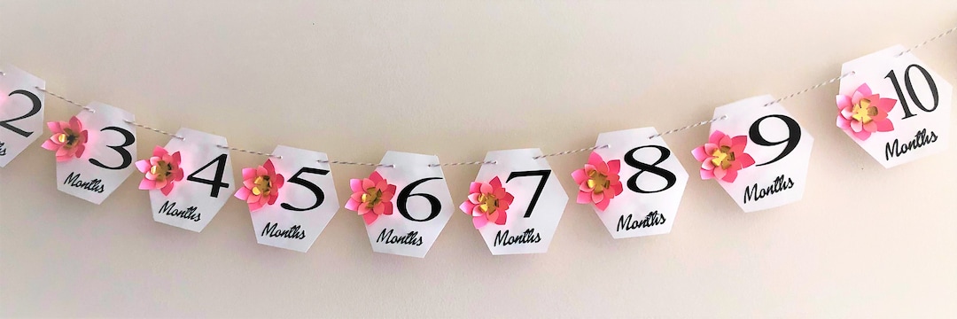12months Milestone Birthday Banner Cherry Blossom Theme Monthly Banner ...