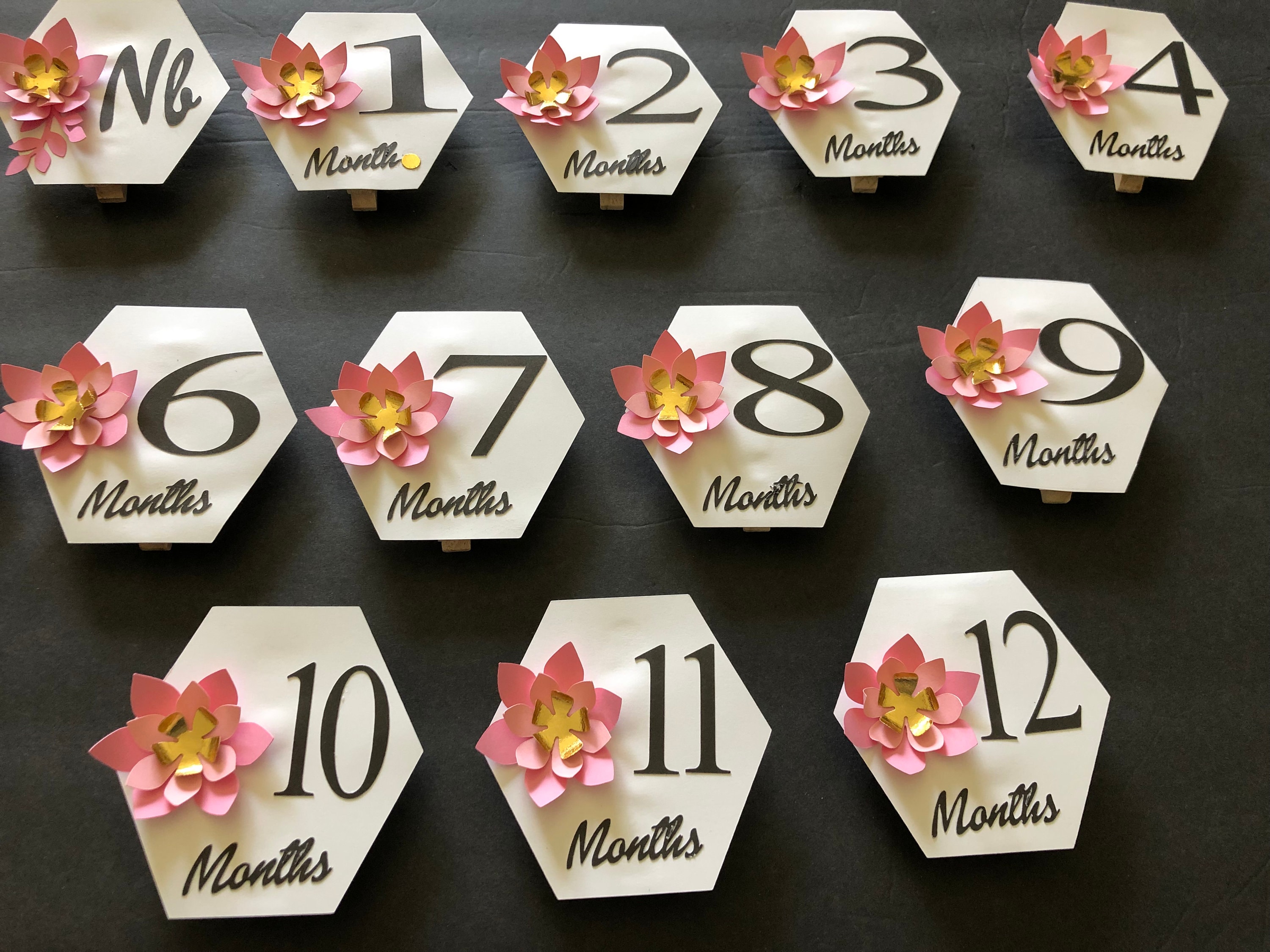 12months Milestone Birthday Banner Cherry Blossom Theme Monthly Banner ...