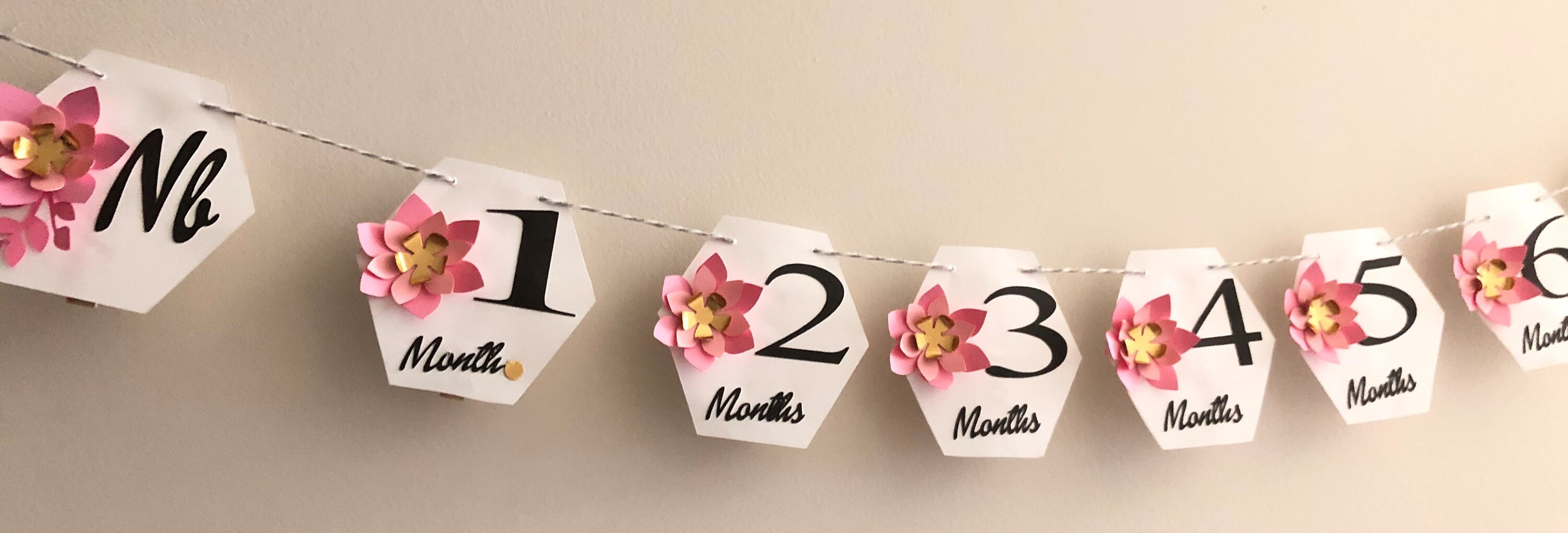 12months Milestone Birthday Banner Cherry Blossom Theme Monthly Banner ...