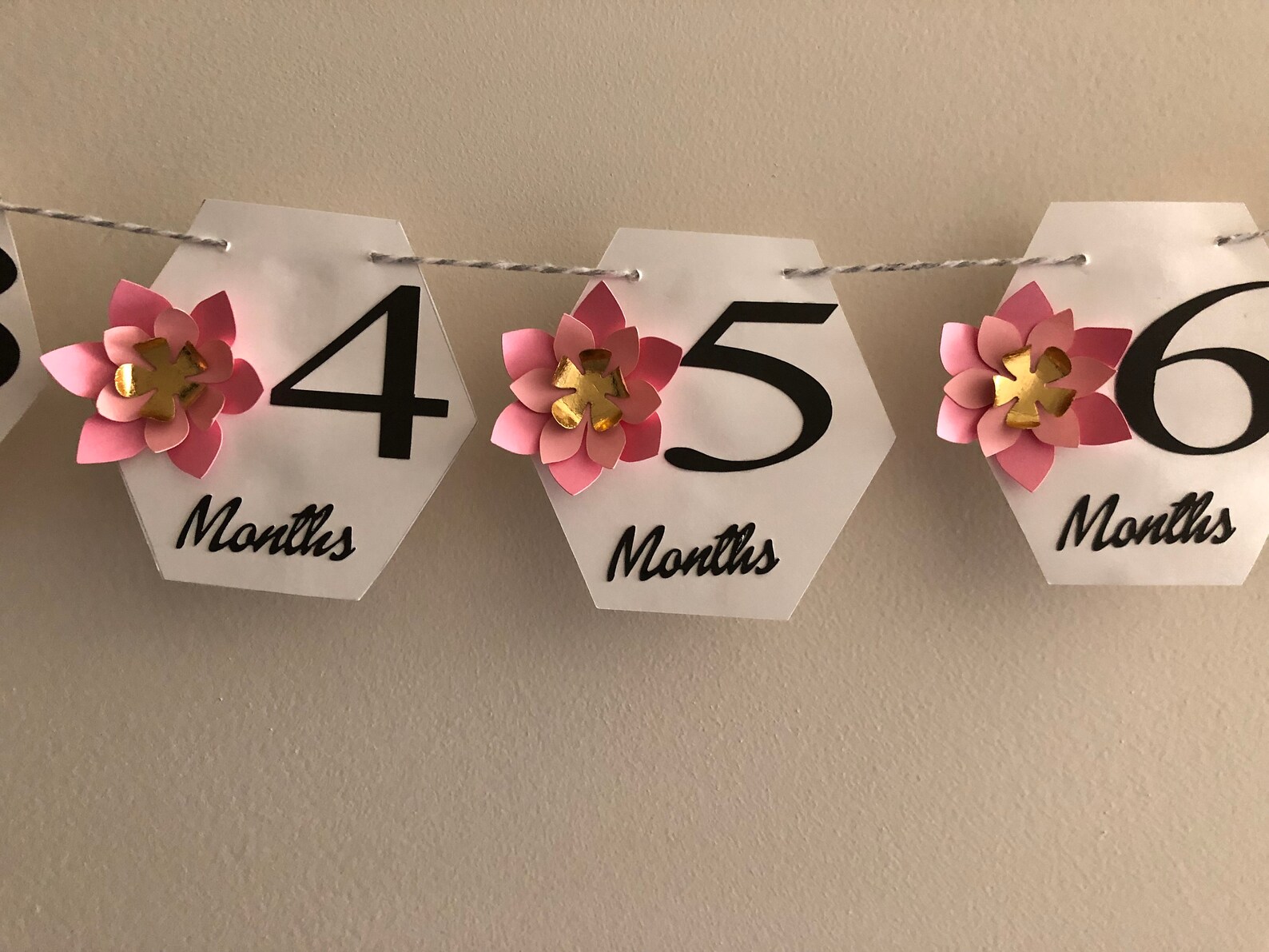 12months Milestone Birthday Banner Cherry Blossom Theme Monthly Banner ...