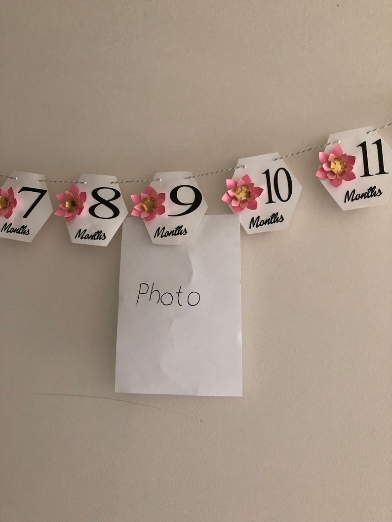 12months Milestone Birthday Banner Cherry Blossom Theme Monthly Banner ...