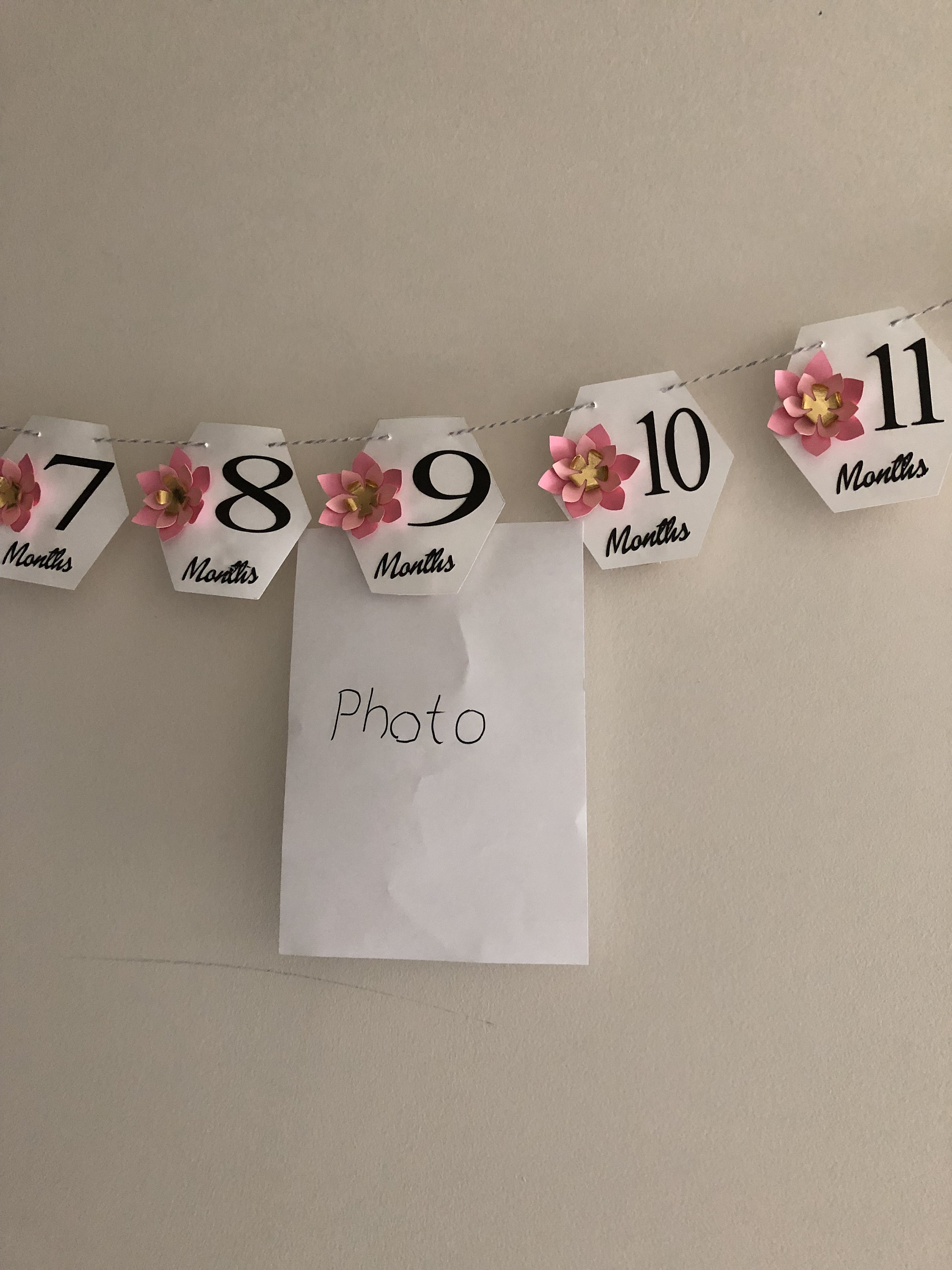 12months Milestone Birthday Banner Cherry Blossom Theme Monthly Banner ...