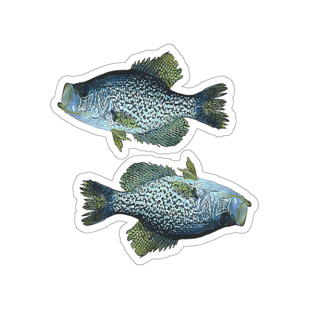 Crappie Stickers, Crappie Decals, Crappie Gifts, Crappie Fisherman Gift ...