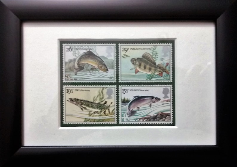 Fishing, Framed Stamps of River Fish From 1983 - Etsy UK