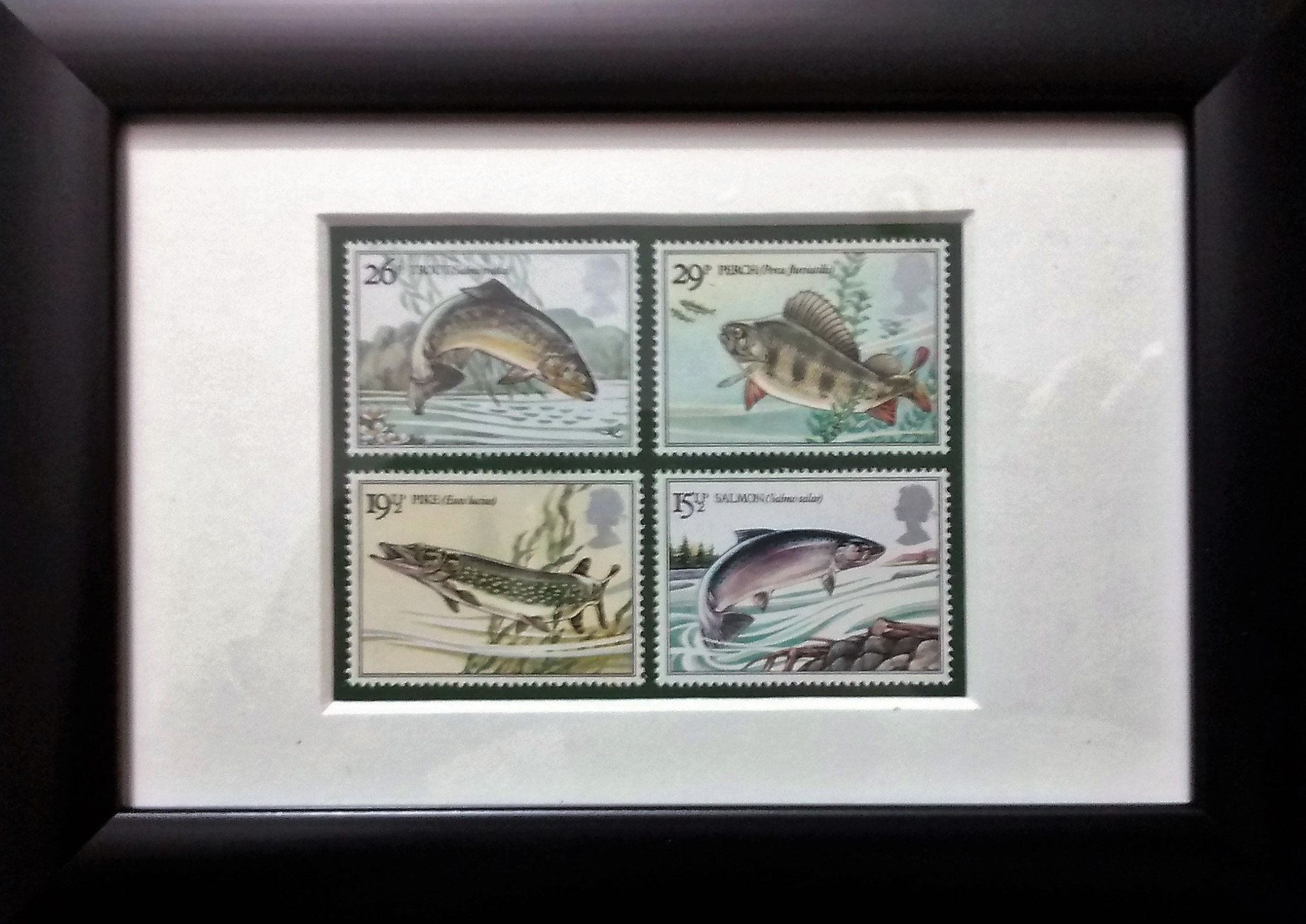 Fishing, Framed Stamps of River Fish From 1983 - Etsy UK