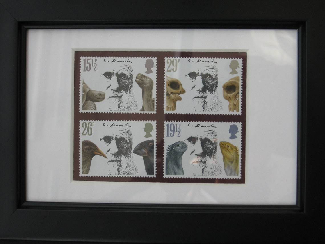 Anniversary Charles Darwin Centenary Framed Stamps From 1982 - Etsy