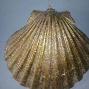 SparklingSeashells - Etsy