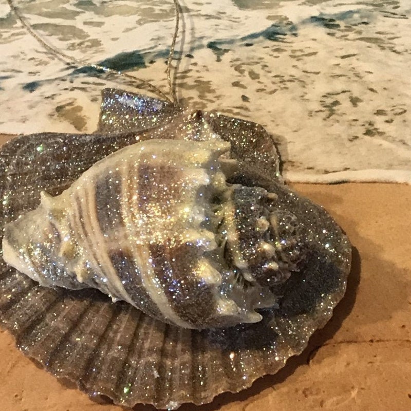 SparklingSeashells - Etsy