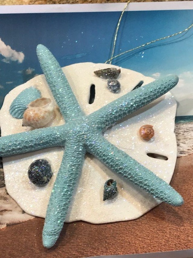 SparklingSeashells - Etsy