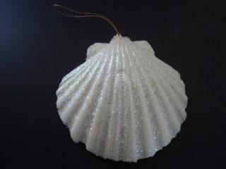 SparklingSeashells - Etsy