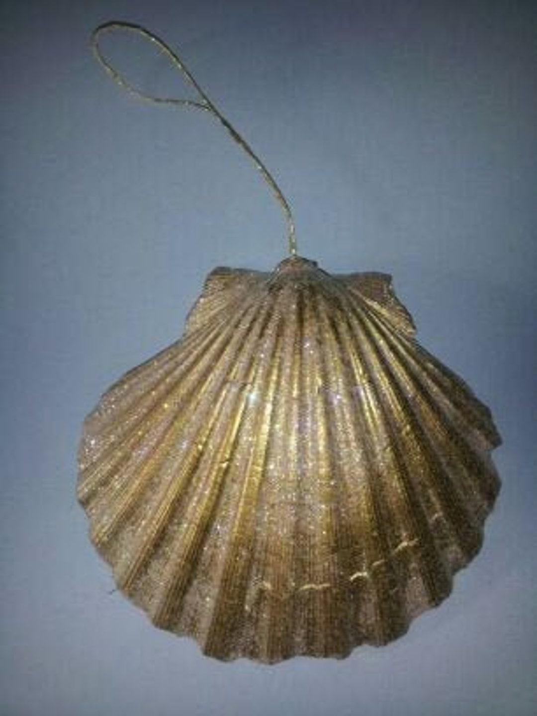 Seashell Scallop Beach Favor Glitter Painted Gold Tone Sparkling Wall ...