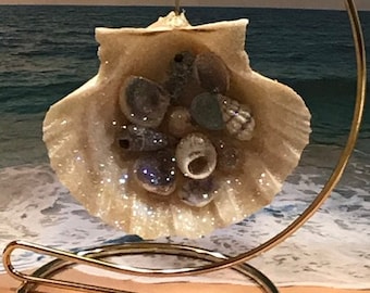 SparklingSeashells - Etsy