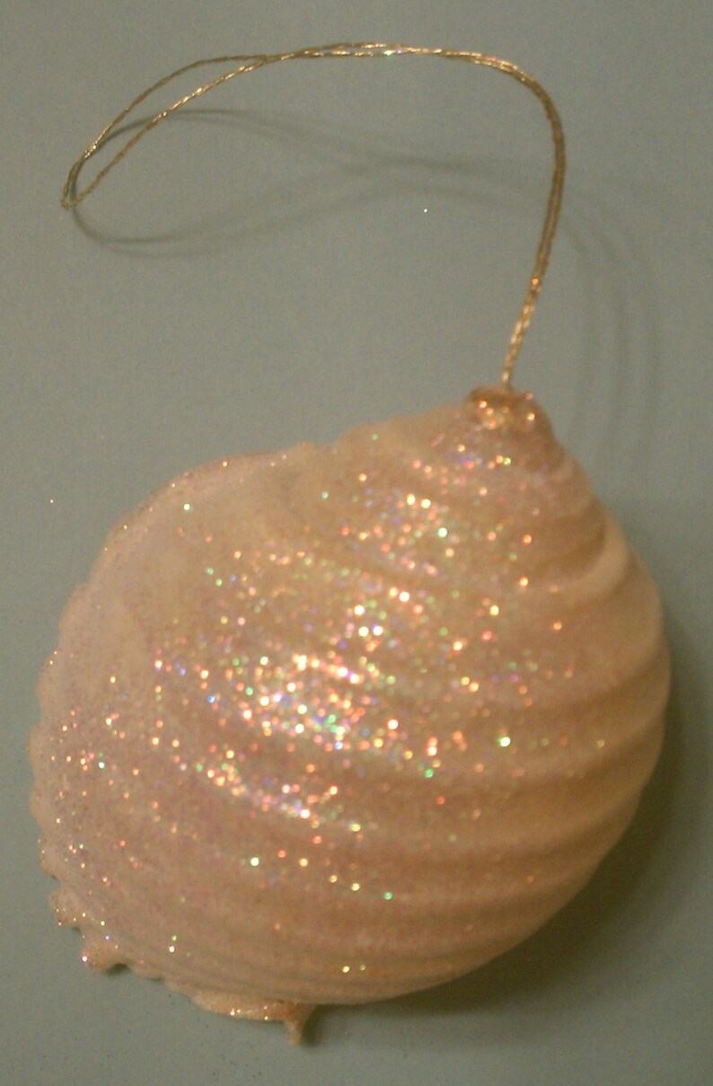 Seashell Glitter Tona Beach Seashell Memento Sparkling Beautiful ...