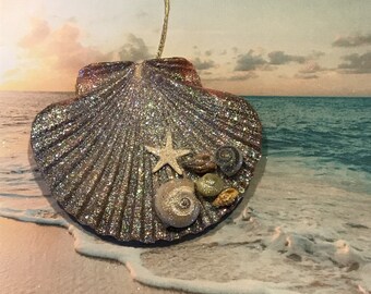 SparklingSeashells - Etsy